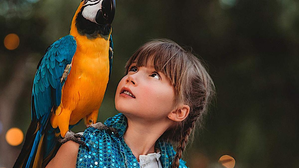 大家看看这个加拿大的数据，新增病例748人未接种，2781已接种。 -6park.com